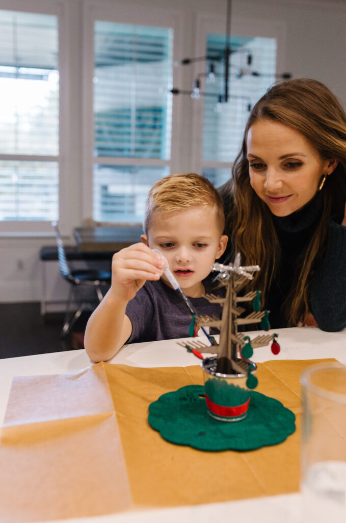 All about Kiwi Co's Store (Same Boxes, No Subscription) - Merrick's Art